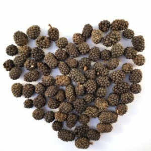 Wild Assam Pepper – Buy Piper mullesua online